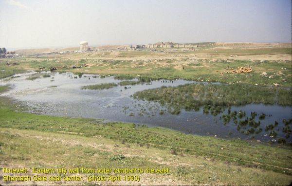 Nineveh - New World Encyclopedia