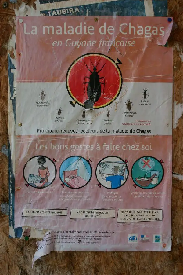 Chagas disease - New World Encyclopedia