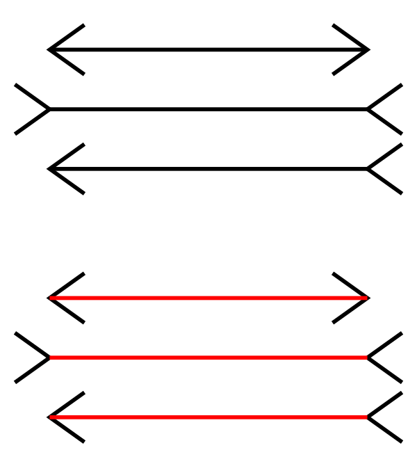 Illusion - New World Encyclopedia