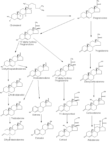 Cholesterol - New World Encyclopedia