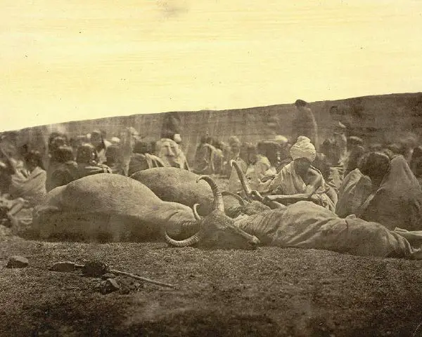 Toda people - New World Encyclopedia