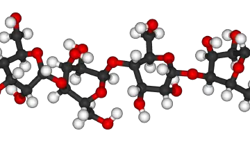 Polysaccharide - New World Encyclopedia