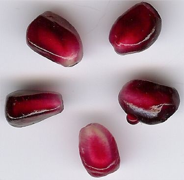 Pomegranate - New World Encyclopedia