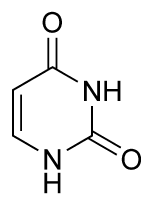 Uracil - New World Encyclopedia
