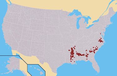 Deep South - New World Encyclopedia
