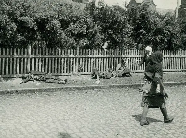 Collectivization in the Soviet Union - New World Encyclopedia