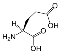 Glutamic acid - New World Encyclopedia