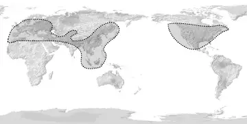 Maple - New World Encyclopedia