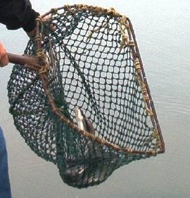 Fishing net - New World Encyclopedia
