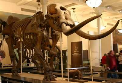 Mastodon - New World Encyclopedia