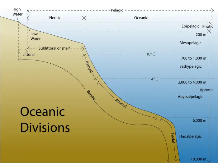 Ocean - New World Encyclopedia