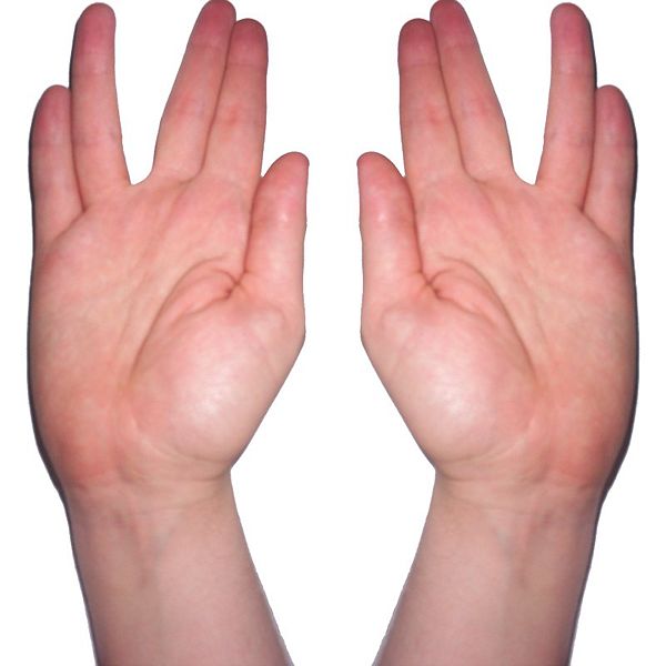 Kohen (Cohen) - New World Encyclopedia