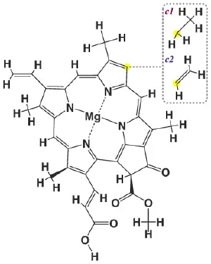 Chlorophyll - New World Encyclopedia
