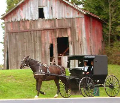 Amish - New World Encyclopedia