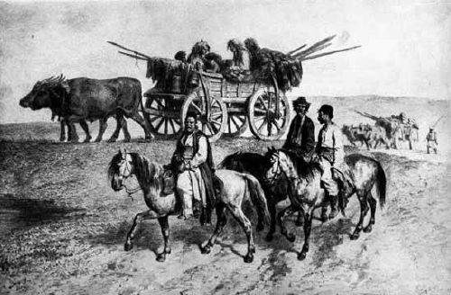 Nomad - New World Encyclopedia