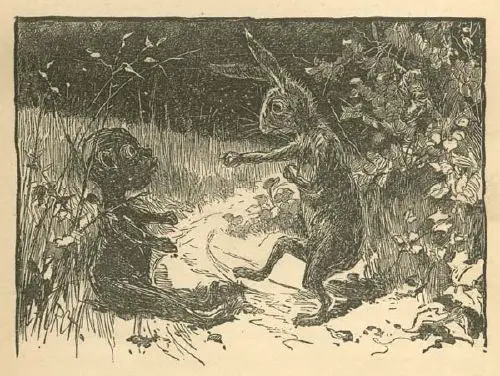 Rabbit - New World Encyclopedia