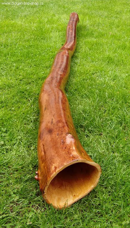 Musical instrument - New World Encyclopedia