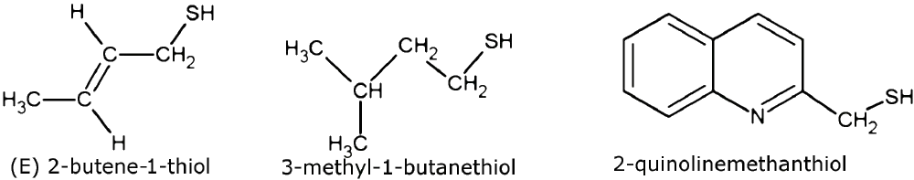 Skunk - New World Encyclopedia