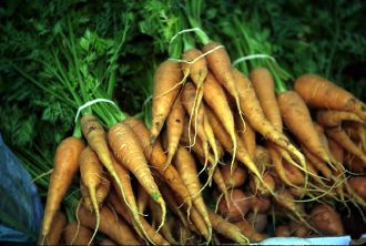 Carrot - New World Encyclopedia