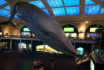Science museum - New World Encyclopedia
