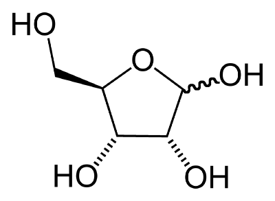 Ribose - New World Encyclopedia