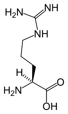 Arginine - New World Encyclopedia