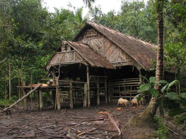 Longhouse - New World Encyclopedia