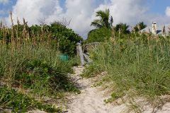 Dune - New World Encyclopedia