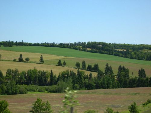 Prince Edward Island - New World Encyclopedia