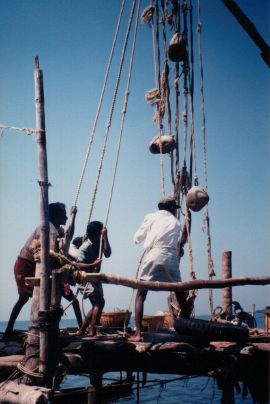 Fishing net - New World Encyclopedia