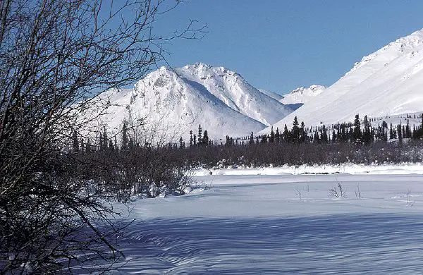 Arctic National Wildlife Refuge - New World Encyclopedia