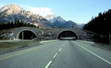 Banff National Park - New World Encyclopedia