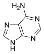 Adenine - New World Encyclopedia