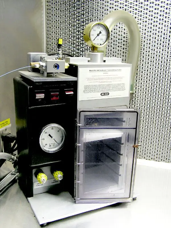 Transfection - New World Encyclopedia