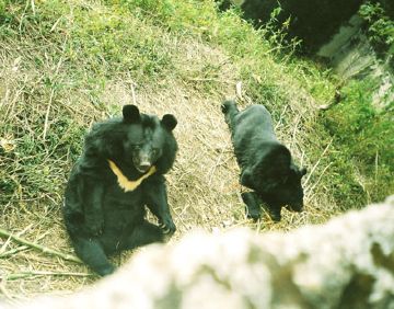 Sikkim - New World Encyclopedia