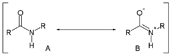 Amide - New World Encyclopedia