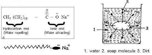 Soaps and Detergents - New World Encyclopedia