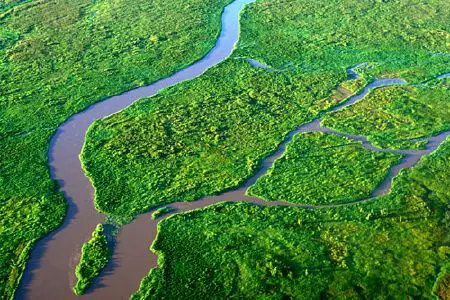 Ecology - New World Encyclopedia