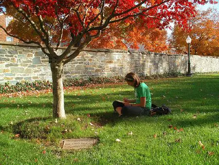 Georgetown University - New World Encyclopedia