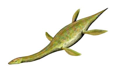 Pliosaur - New World Encyclopedia