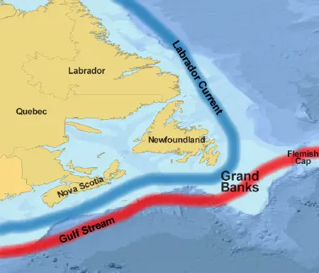 Grand Banks - New World Encyclopedia