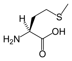 Methionine - New World Encyclopedia
