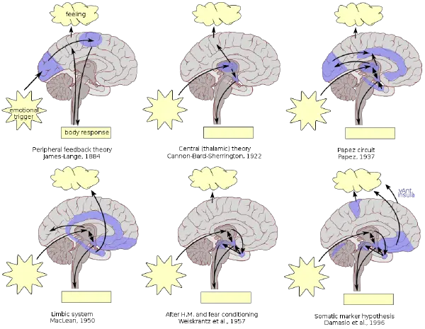 Emotion - New World Encyclopedia