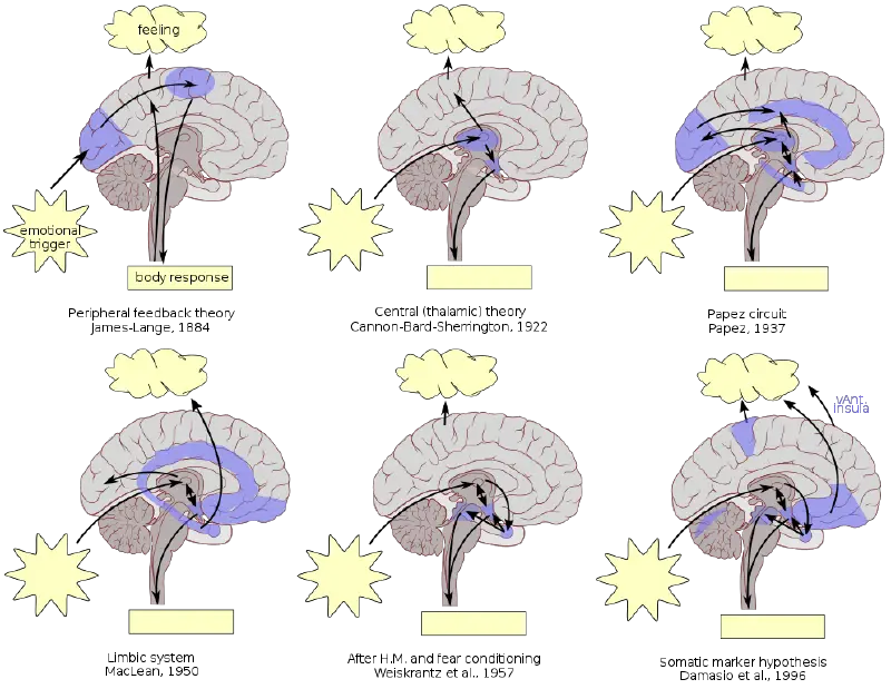 Emotion - New World Encyclopedia