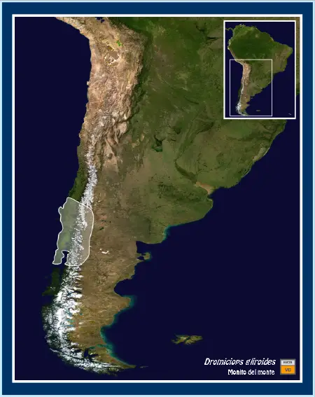 Microbiotheria - New World Encyclopedia