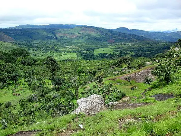 Guinea - New World Encyclopedia