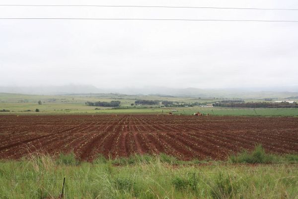 South Africa - New World Encyclopedia