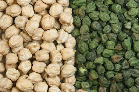 Chickpea - New World Encyclopedia