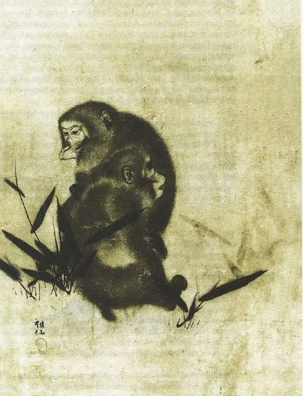 Monkey - New World Encyclopedia