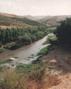 Ammon - New World Encyclopedia